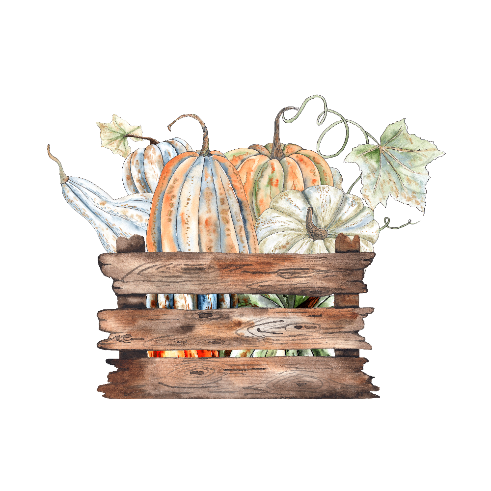 SSC Designs | Pumpkin Patch – SSC Wholesale